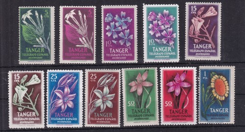 SPANISH TANGER MOROCCO ^^^^^^X11 HINGED LOCALS ( flowers)@ xrum2929tan ...