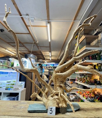 Bogwood For Aquarium for sale | eBay