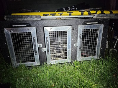 Dog Transit Box for sale | eBay UK