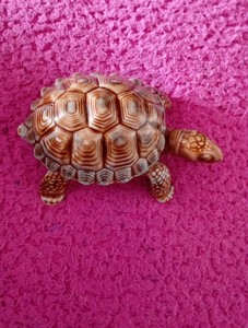 wade porcelain tortoise products for sale | eBay