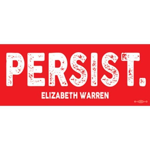 Elizabeth Warren 2020 For President Red Persist Bumper Sticker Decal | eBay