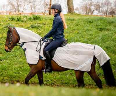 Riding Fly Rug for sale | eBay