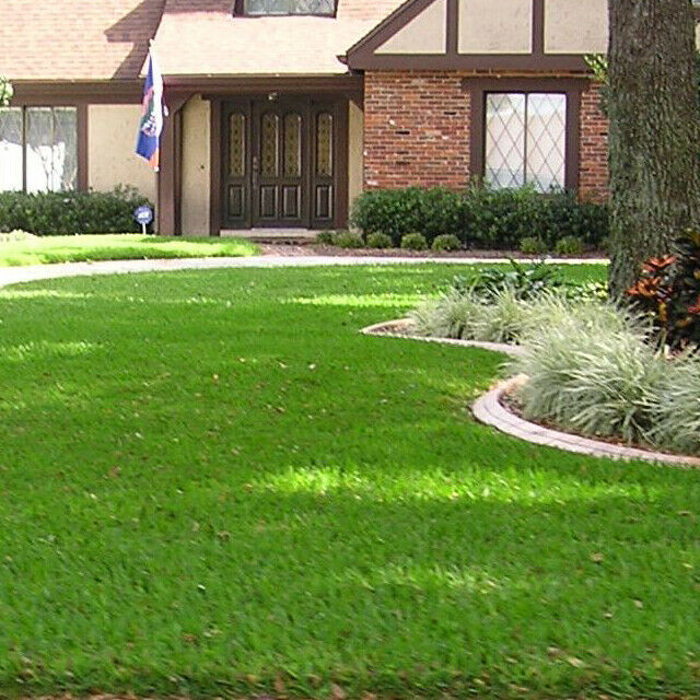 Tydt-cozy | eBay Stores