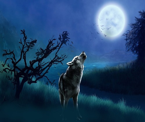 WOLF HOWLING AT THE MOON WOODS COMPUTER MOUSE PAD 9 x 7 | eBay