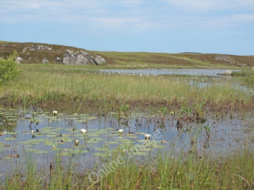 Photo 12x8 Loch Skerray Borgie/NC6759 The shallow west end of Loch ...