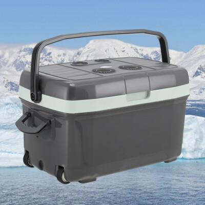 Electric Cooler Box for sale | eBay