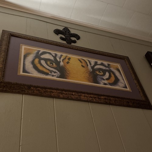 Tiger Eyes Picture With Piercing, Bingo, Tiger Eyes | eBay