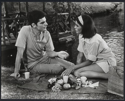 Goodbye Columbus ’69 ALI MACGRAW RICHARD BENJAMIN PICNIC | eBay