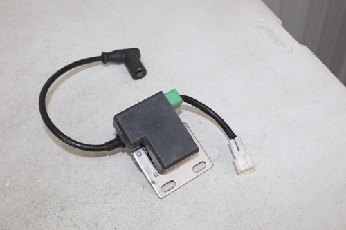 Rotax FR125 MAX Pre-EVO Kart CDI Ignition Coil Cap Black connector ...