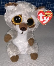 Oakie the Raccoon - Beanie Boos - Beaniepedia