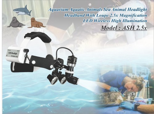 2.5x sea animal surgical headlight medical head light led 10 watt | eBay