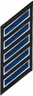 Police Two Stripe 10 Ten Year Service Stripes Insignia Right Embroidery ...