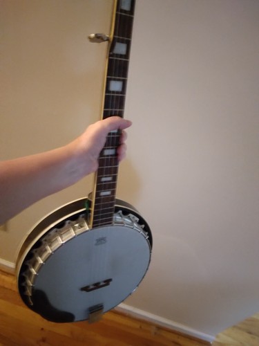 Harmony 5-string resonator banjo | eBay