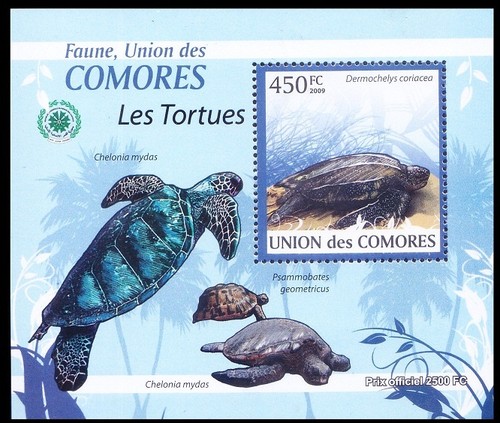 Comoros 2009 MNH Sheet, Dermochelys coricea, Leatherback, Turtle ...