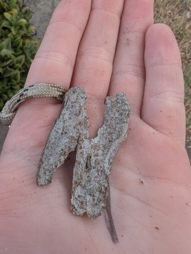 N shaped tree bark | eBay