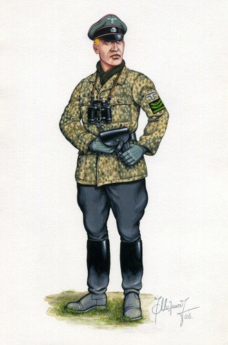 original collectible painting german waffen SS, artillery lieutenant ...
