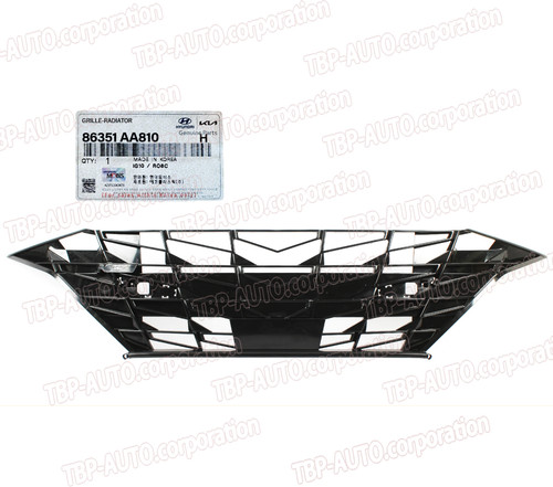 GENUINE ® Radiator Grille Black For 2021-2023 Hyundai Elantra N-line ...