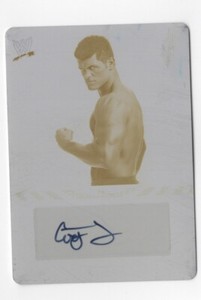 Quantum Roe's Shop | eBay Stores