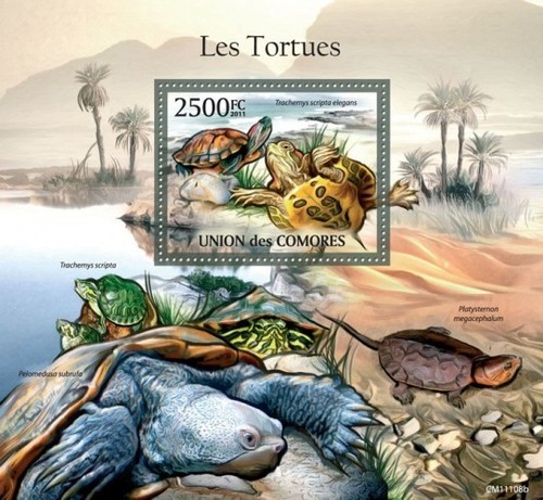 Turtles turtle Reptiles Comoros Comores 2011 s/s Mi. Bl.624 MNH # ...