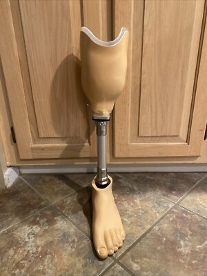 Prosthetic Leg for sale | eBay