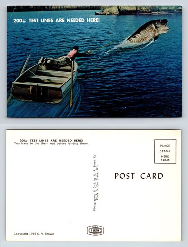 Vintage 1966 Fishing Postcard with Big Fish and Humor | eBay