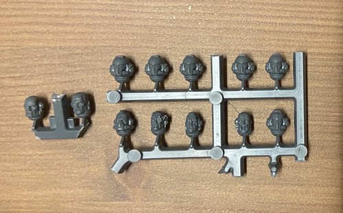 Warhammer 40K Space Marine Intercessors Heads Bits 12x New On Sprue | eBay
