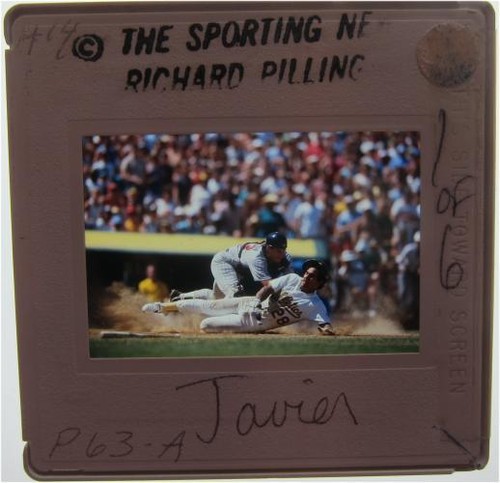 STAN JAVIER NEW YORK YANKEES GIANTS DODGERS ASTROS OAKLAND A'S SLIDE 1 ...