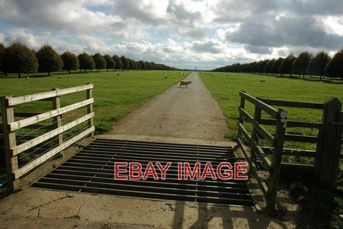 PHOTO AVENUE TO BLENHEIM PALACE AVENUE FROM THE DITCHLEY GATE TO ...