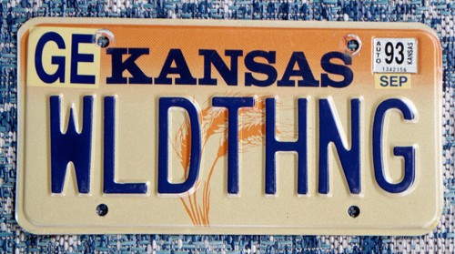 1993 Kansas Vanity License Plate WLDTHNG Wild Thing Wild Woman, Car ...