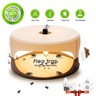 Smart Ultrasonic Anti Pest Fly Bugs Reject Magnetic Insect Deratization ...