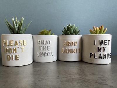 Multicoloured Round Flower & Plant Window Boxes Boxes for sale | eBay