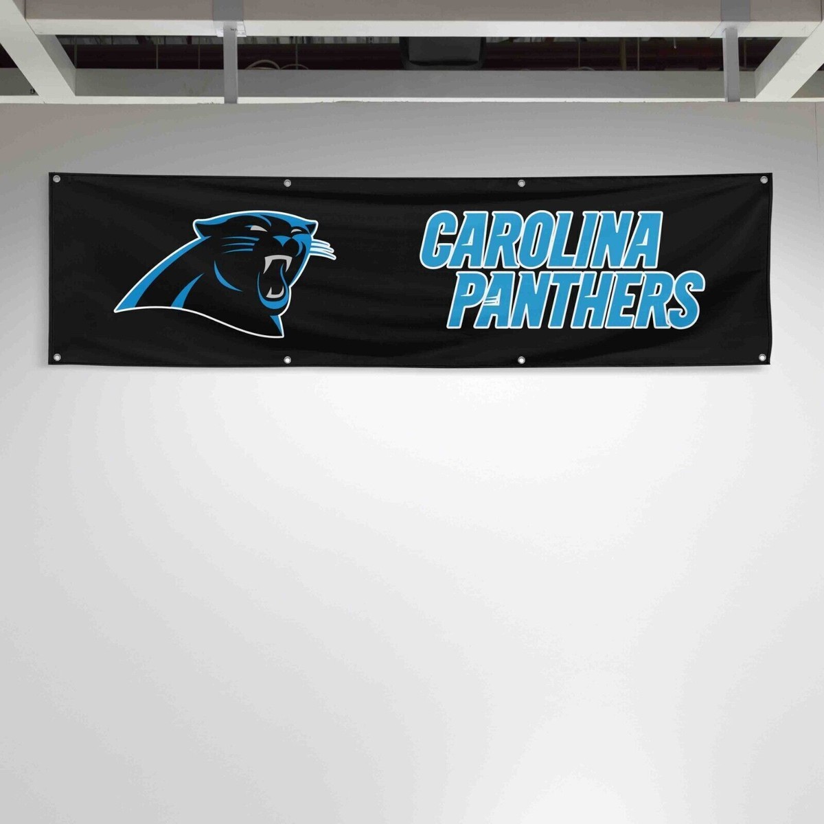 Carolina Panthers Mini Banners