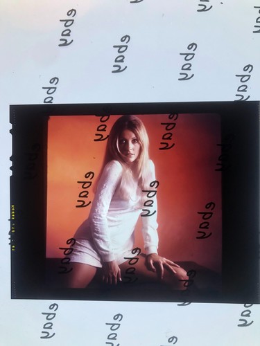 SHARON TATE 4X5 TRANSPARENCY BEAUTIFUL | eBay