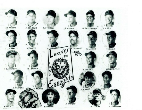 1952 LEONES DEL ESCOGIDO DOMINICAN LEAGUE TEAM 8X10 PHOTO BASEBALL | eBay