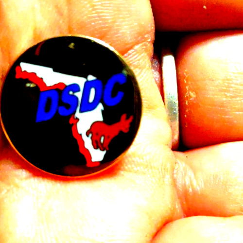 DSDC Vintage Pin | eBay