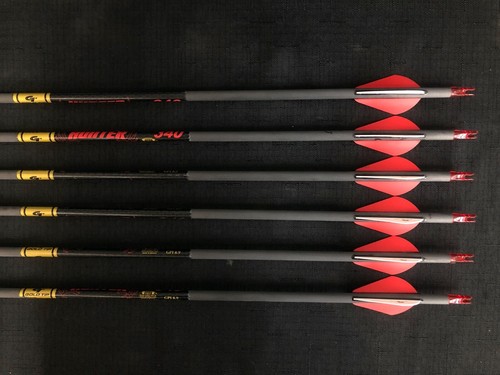 Gold Tip Hunter 340 Carbon Arrows w/ 2" Raptor-X Vanes 6pk BRAND NEW | eBay