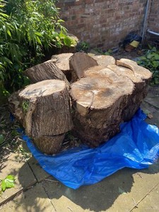 Tree Logs for sale | eBay