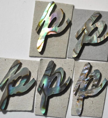 5 Letters Lowercase P in Paua Abalone 14mm x 15.7mm x 1.5mm thickness ...
