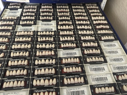 Ivoclar Blueline Teeth Shade A1 Upper Anterior | eBay