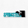 Bruce Springsteen THE BOSS Signature Decal Sticker Autograph Singer pop ...
