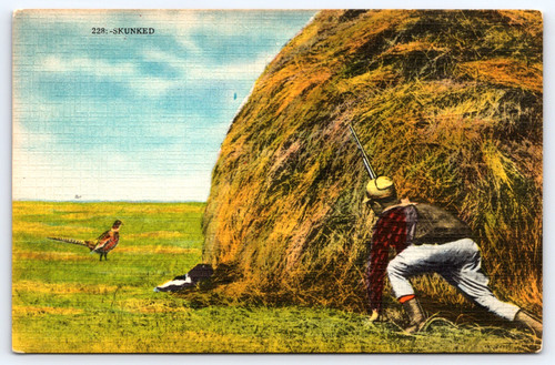 VINTAGE POSTCARD OLD ANTIQUE IMAGE MAN GUN HUNTING PHEASANT BIRD SKUNK ...