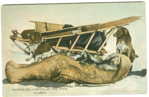 Alaska, Prospector Camping on the Trail | eBay