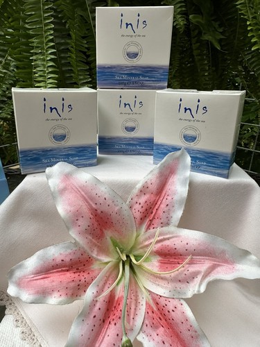 Inis the Energy of the Sea Fragrance 2 ( 3.5oz) Mineral Soaps | eBay