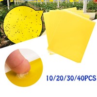 Yellow Sticky Whitefly Traps 5 Pack - white fly aphid fruit house plant ...