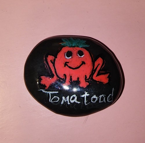 Hand Painted "Punny" Rocks - Tomatoad | eBay