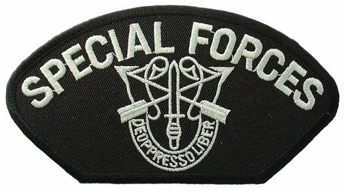 ARMY SPECIAL FORCES Embroidered Hat Patch 3" x 5-1/4" (1371) | eBay ...