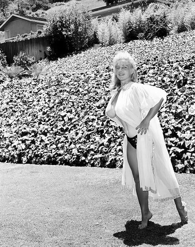 Sexy Burlesque Actress VIRGINIA BELL Pin up Picture Poster Photo 8.5x11 | eBay