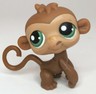 Littlest Pet Shop LPS #343 Pink and Brown Humming Bird with Green Eyes ...
