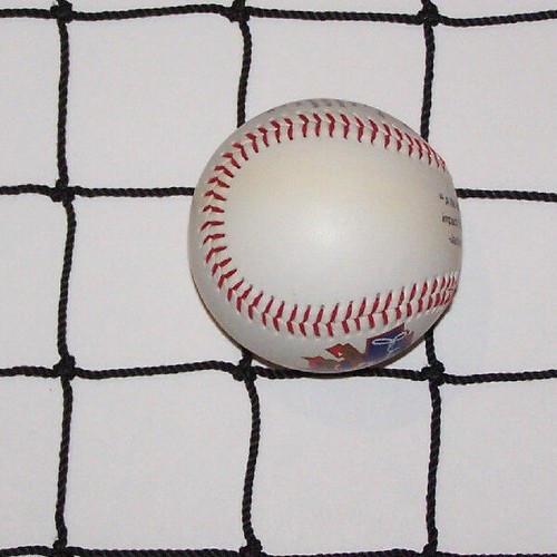 14' X 6' Heavy Duty Baseball Netting Black Square Nylon Net 1 7/8" #36 ...