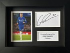 Cole Palmer Autographs | Sports, Football